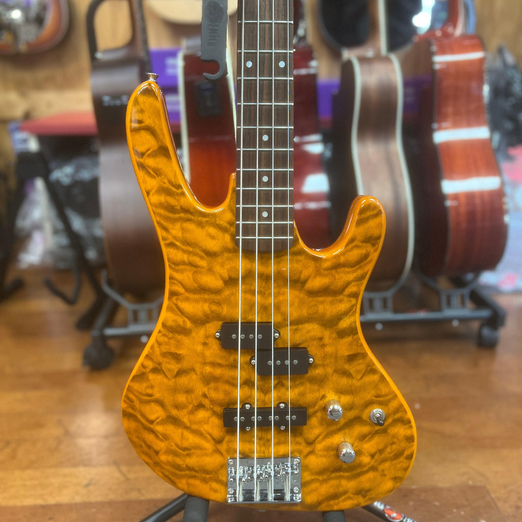 Used Electric Basses — Dirt Cheep